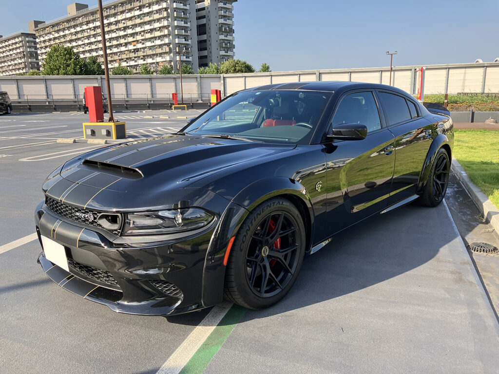 ストライプ / デザインワークス