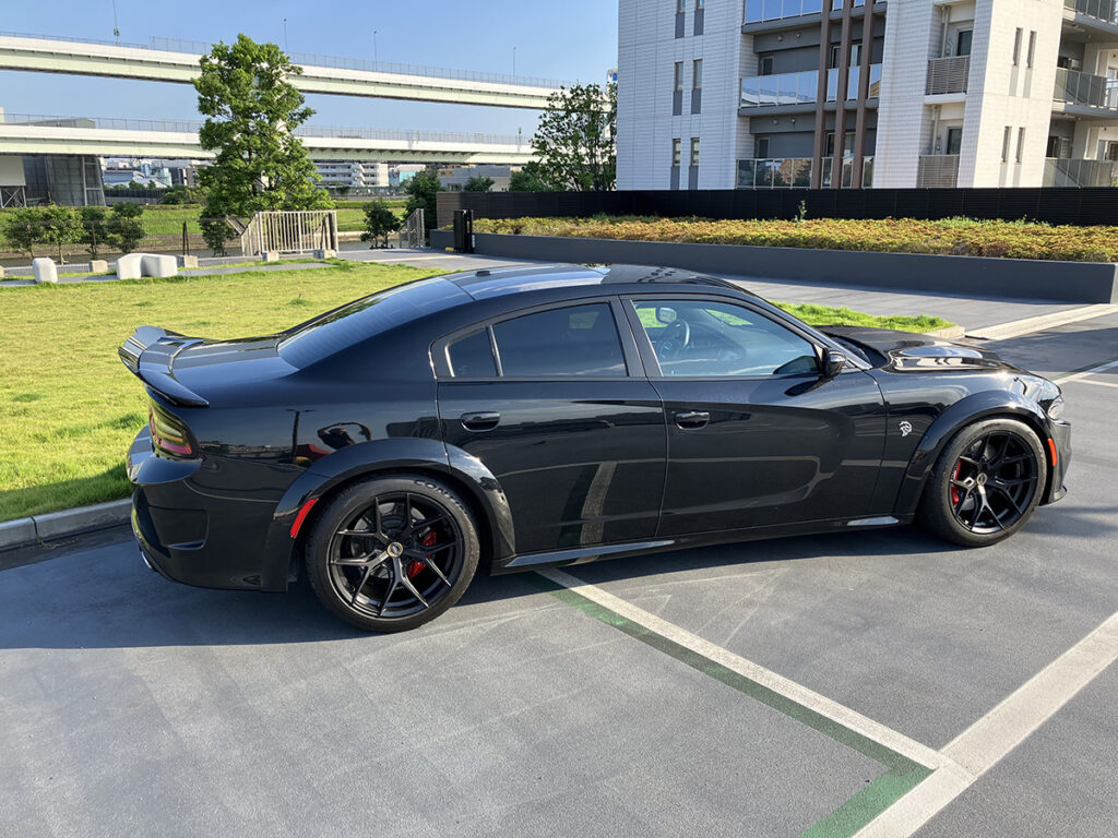 ストライプ / デザインワークス