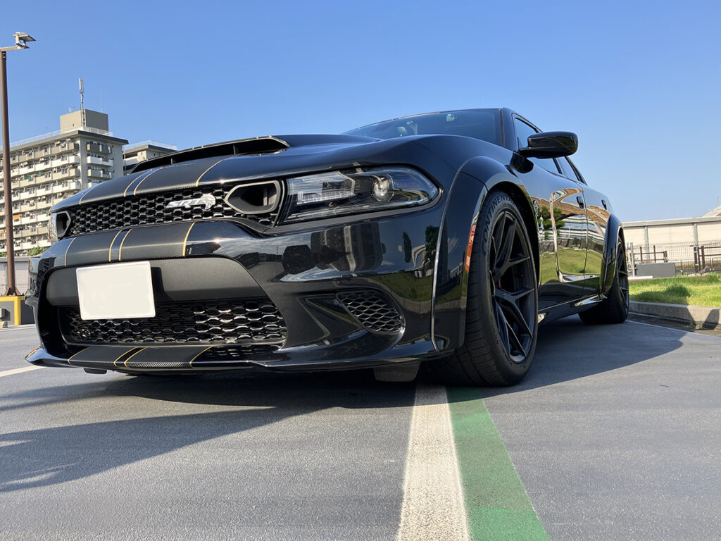 ストライプ / デザインワークス