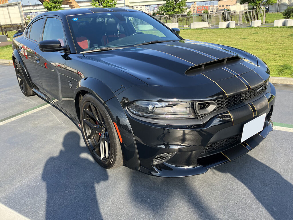 ストライプ / デザインワークス